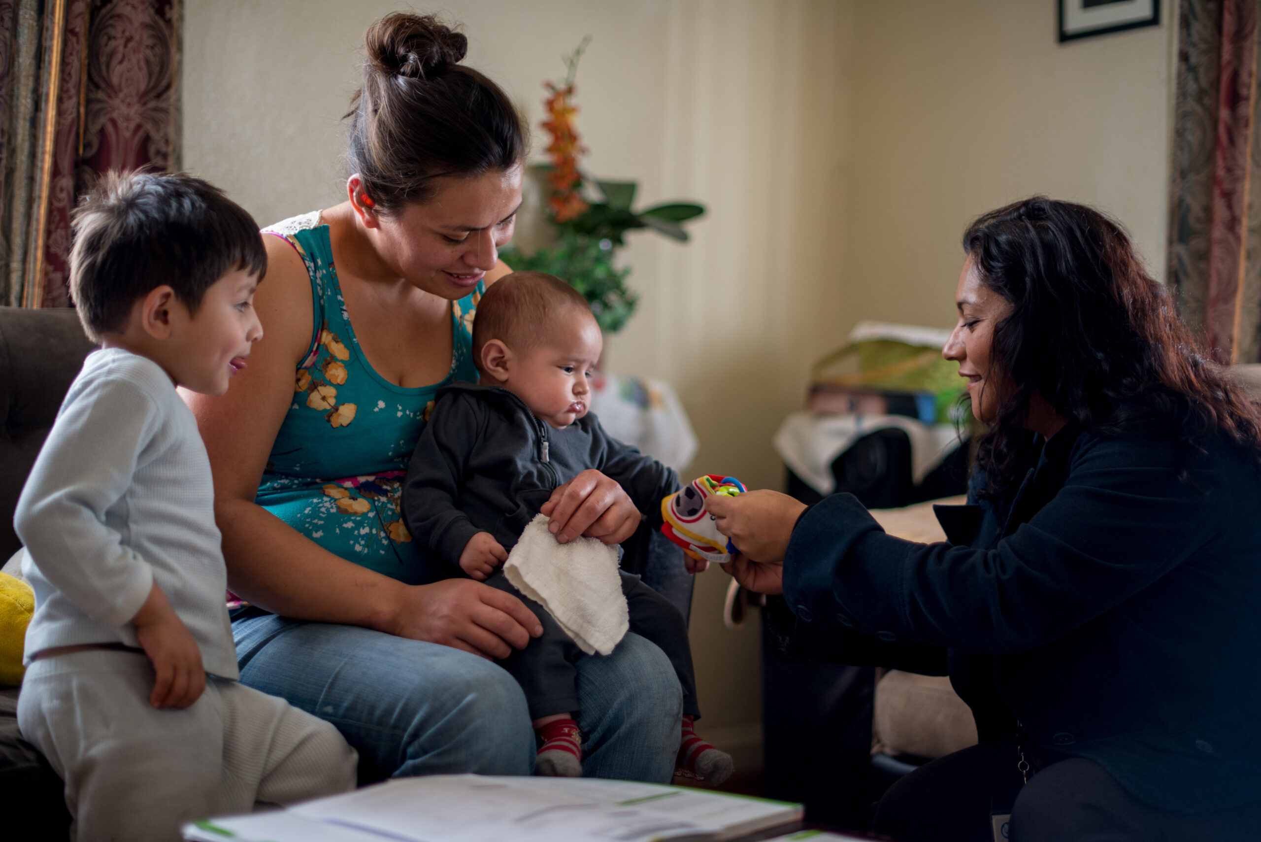 Demystifying Home Visiting for Legal Aid, Food Banks, and Community ...